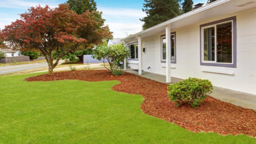 Transform Your Outdoor Space: 10 Stunning Landscaping Ideas for Beauty ...