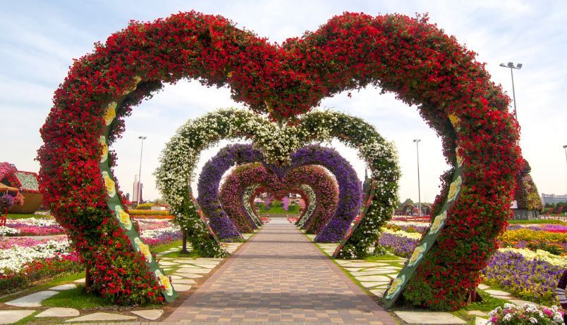 Dubai Miracle Garden – The Floral Heaven with Over 150 Million Flowers