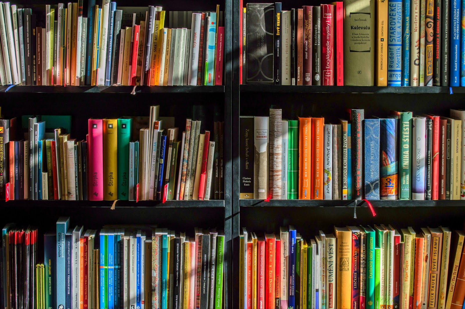 Top 10 Best Self-Publishing Companies of 2025: Where to Publish Your ...